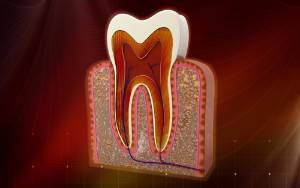 The Complete Root Canal Guide | Endodontist in Buffalo, NY | Dentist